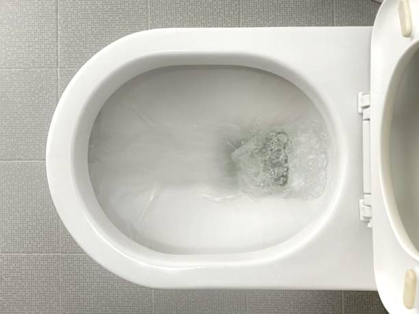 Consejos prácticos para el mantenimiento regular de tu inodoro y evitar ...